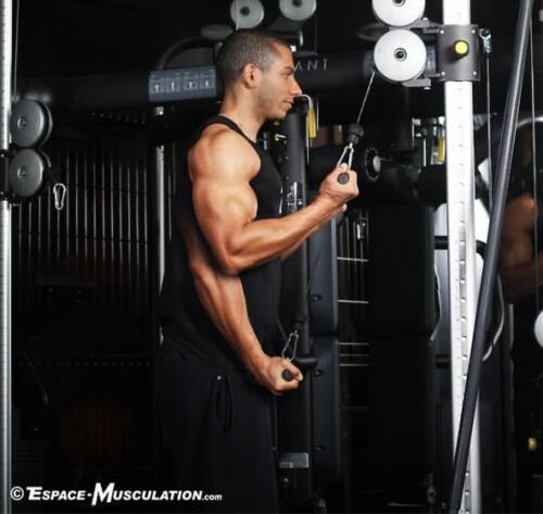 6 Variantes des Extensions à la Poulie pour se Muscler les Triceps