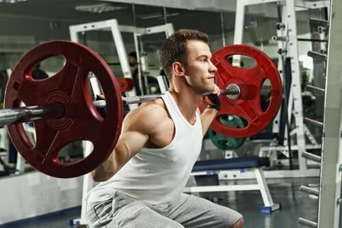 Programmes de Musculation Complets et Gratuits