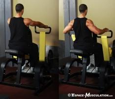 Comment faire du Rowing assis pour se Muscler l'arrière des Épaules