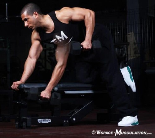 14 Meilleurs Exercices de Musculation pour se Muscler le Dos
