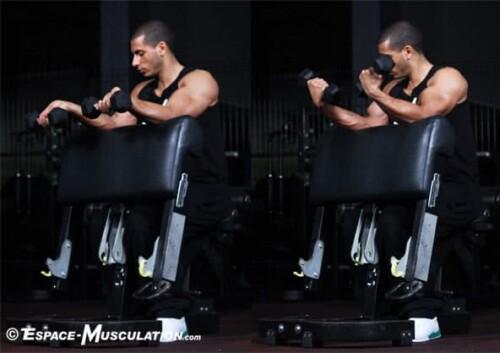 3 Meilleurs Exercices de Musculation pour se Muscler les Avant-bras