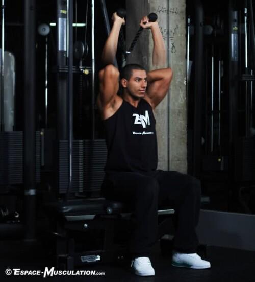 4 Variantes des Extensions Verticales pour se Muscler les Triceps