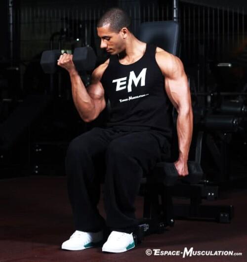 12 Meilleurs Exercices de Musculation pour se Muscler les Bras