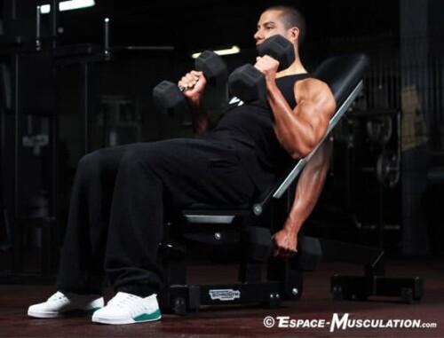 Comment faire les 7 variantes du Curl haltère pour se muscler les Biceps