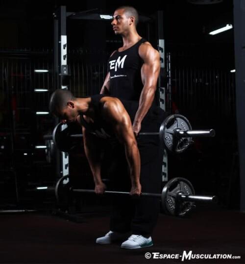 14 Meilleurs Exercices de Musculation pour se Muscler les Jambes