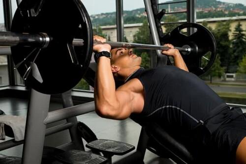 9 Conseils de Base pour bien Débuter la Musculation des Pectoraux