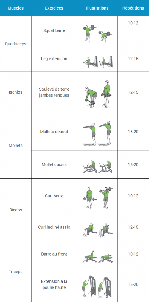 Programme Musculation Débutant - Espace-Musculation.com
