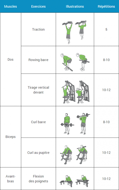 Programme Musculation Débutant - Espace-Musculation.com
