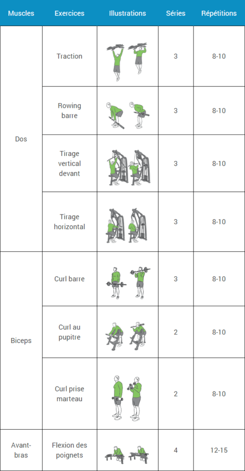 Programme Musculation Débutant - Espace-Musculation.com