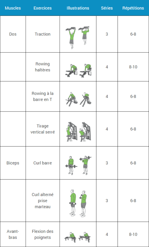 Programme Musculation Débutant - Espace-Musculation.com