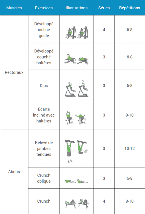 Programme Musculation Débutant - Espace-Musculation.com