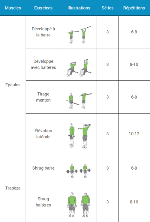 Programme Musculation Débutant - Espace-Musculation.com