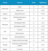 Programme Full Body - Espace-Musculation.com