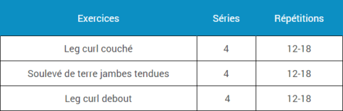 Programmes de musculation pour les Jambes