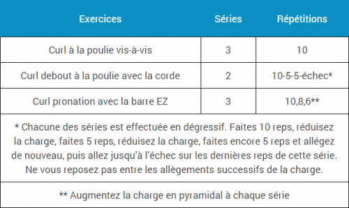 Programme d'entraînement pour se muscler les bras