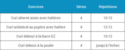 Programme d'entraînement pour se muscler les bras