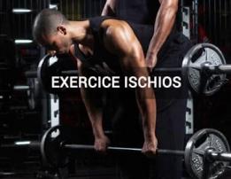 Exercices de Musculation classés par Groupe Musculaire