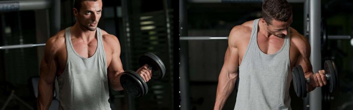 Programmes de Musculation Complets et Gratuits