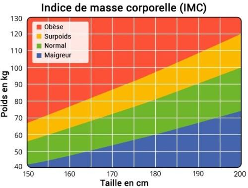 Calculer IMC Homme / Femme, Simple et Précis, Calcul Professionnel
